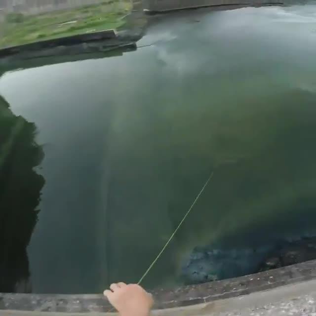 Man Shoots And Catches Fish Amazingly With Help of Bow | Jukin Licensing