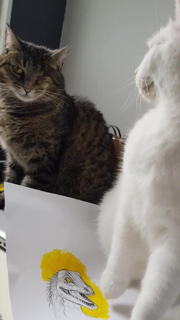 Cat Pushes Off Another Cat Trying To Play With Ink | Jukin Licensing