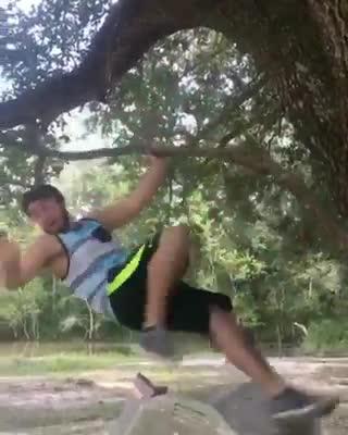 Man Dangling From Tree Branch Falls When It Snaps | Jukin Licensing