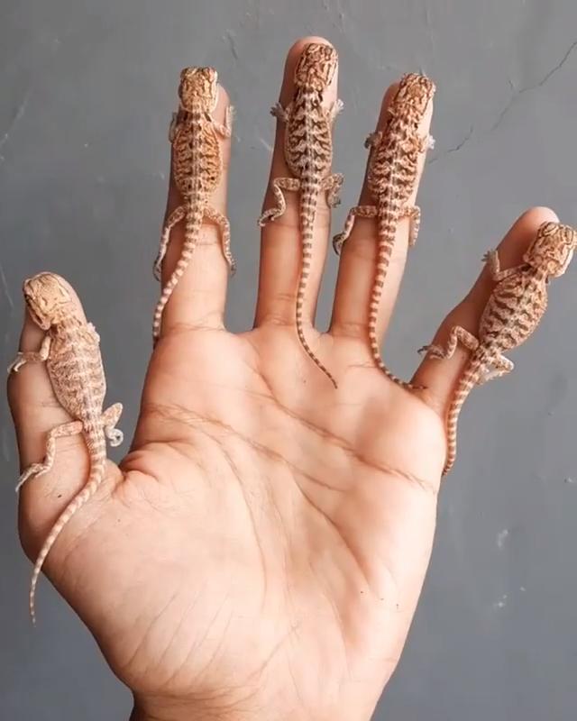 License the Best Viral Videos and UGC Footage | Jukin Media Inc