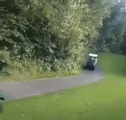 Golf Cart Drifts And Crashes Into Bushes Downhill | Jukin Licensing