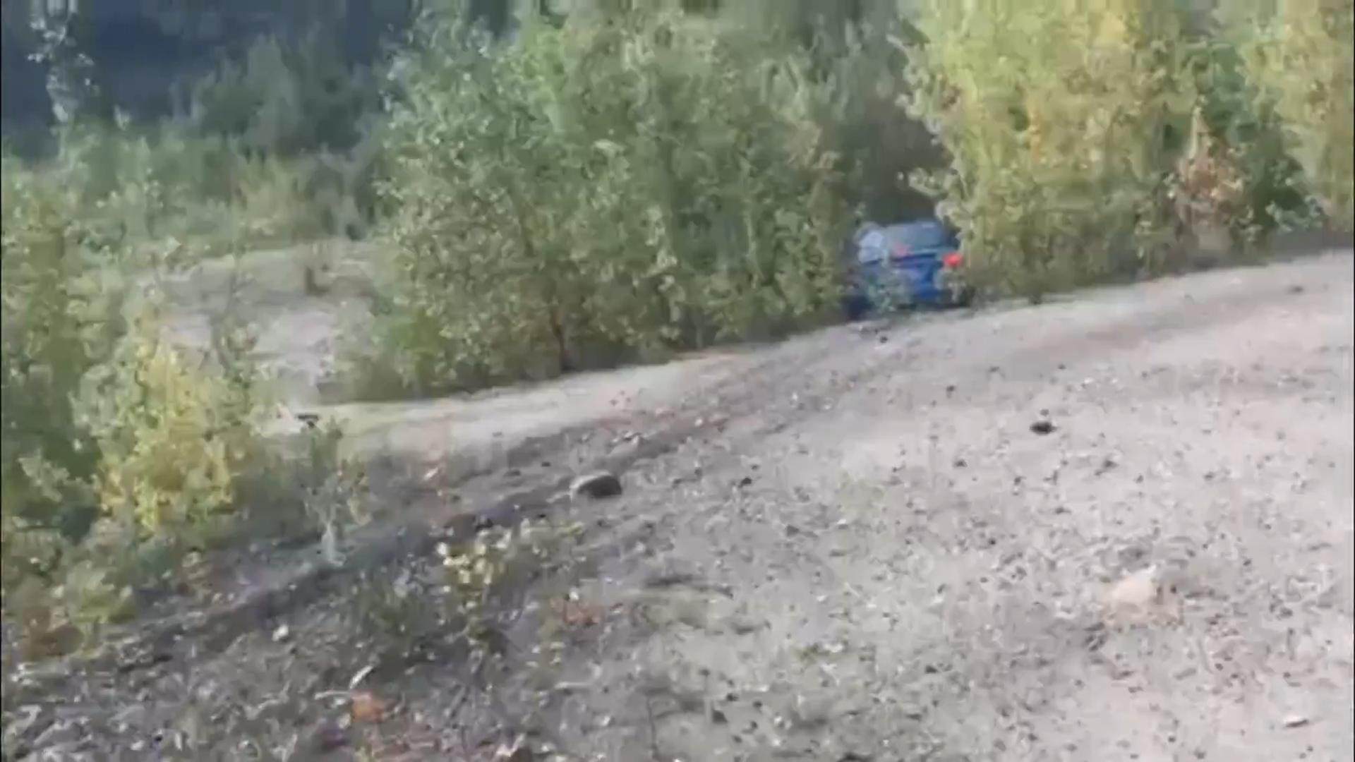 Speeding Car Crashes Into The Bushes On Dirt Road | Jukin Licensing