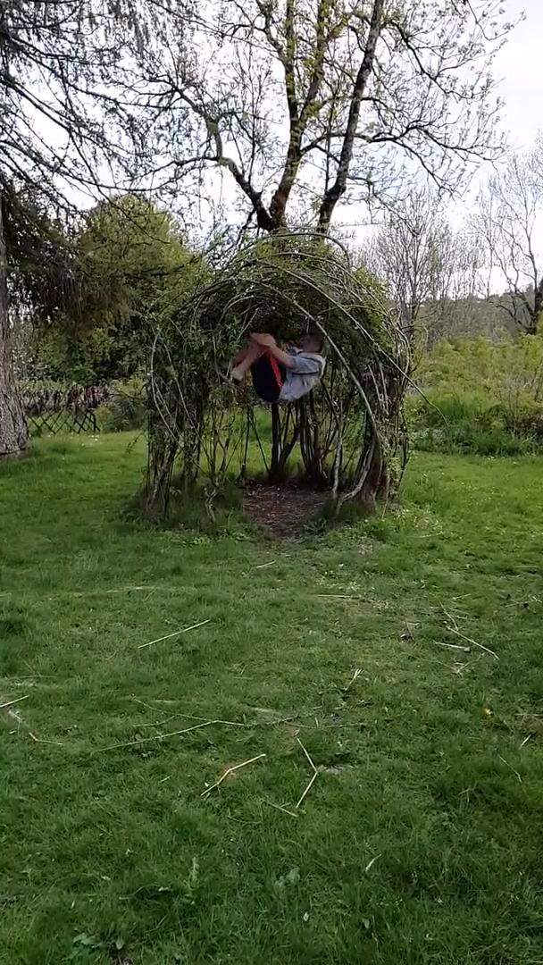 Guy Falls on His Back While Doing Backflip in Bent Hollow Tree | Jukin ...
