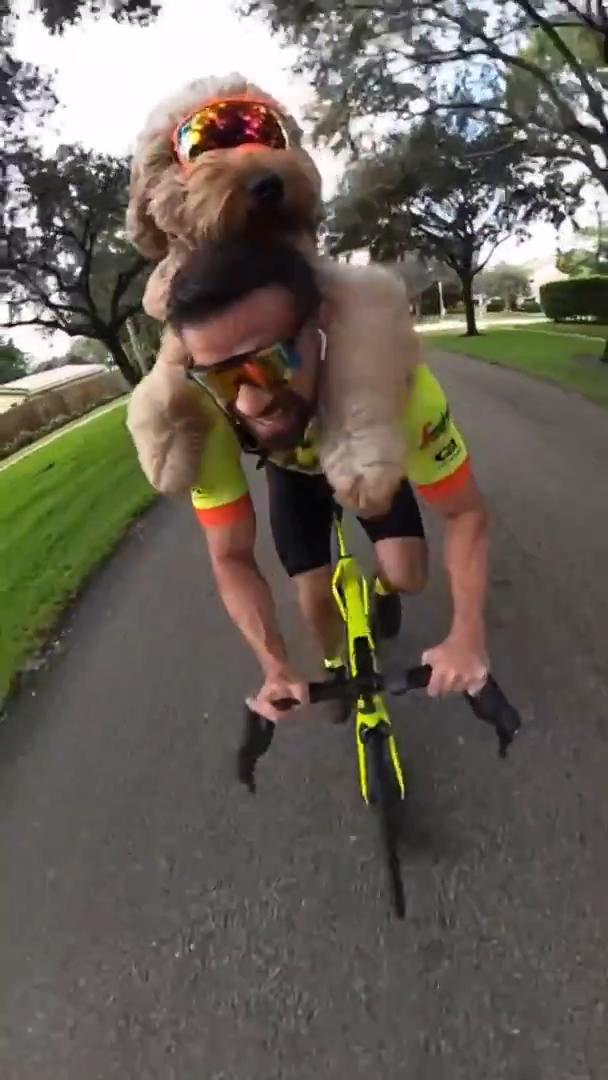 Guy Rides Bike While Holding Dog On His Back | Jukin Licensing