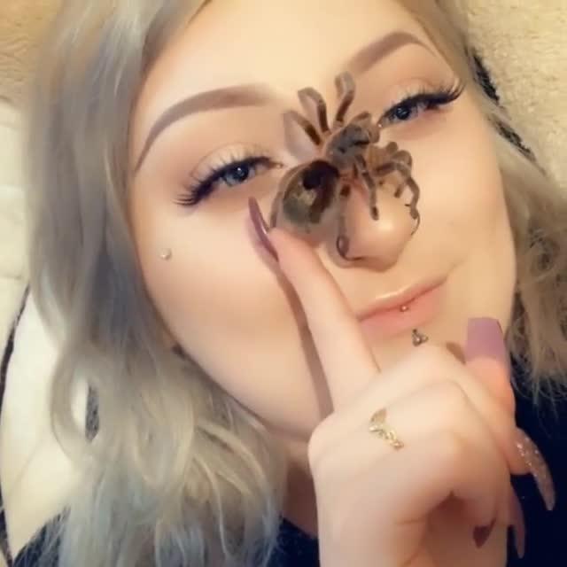 Woman Lets Giant Spider Crawl Over Face | Jukin Licensing