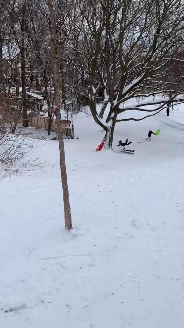 Boy Hits Tree While Sledding Down Slope and Faceplants to the Snow ...