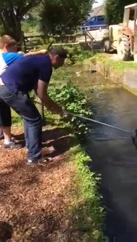 Kid Falls Into Pond After Man Accidentally Pushes Him With Net Rod ...