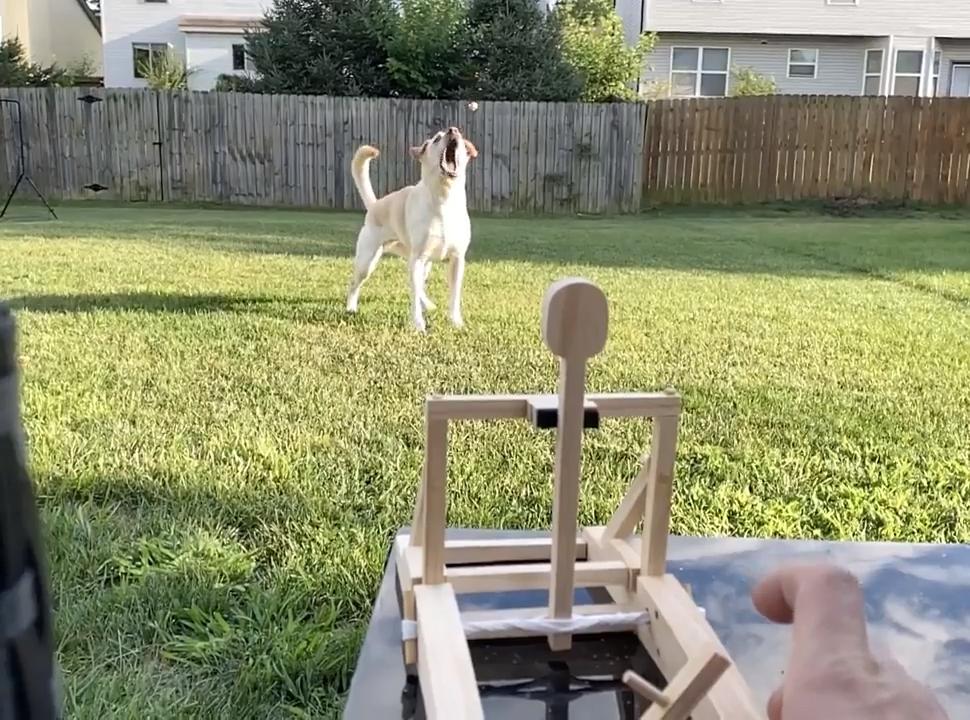 Dog Catches Treat While Owner Throws It With Toy Catapult | Jukin Licensing
