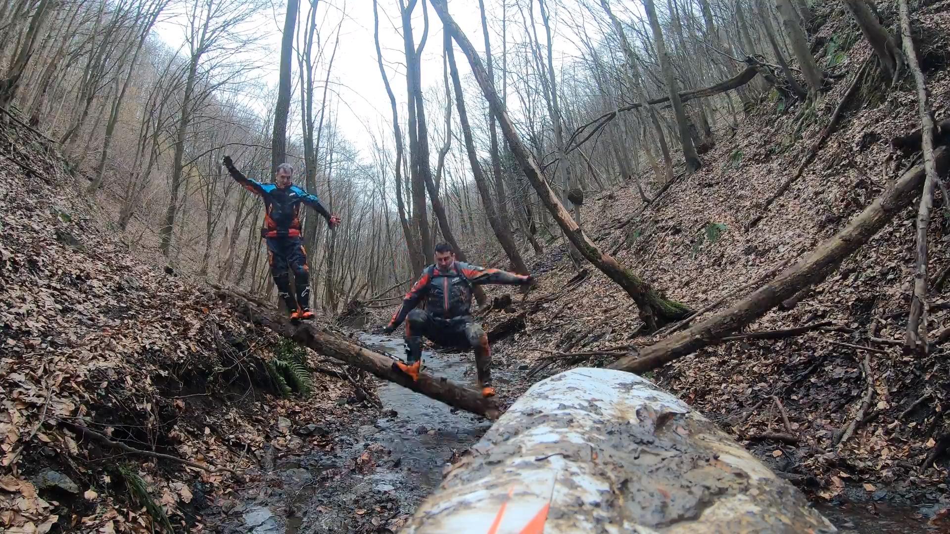 Woman Trying to Cross Creek by Walking Over Log Tumbles into Water ...