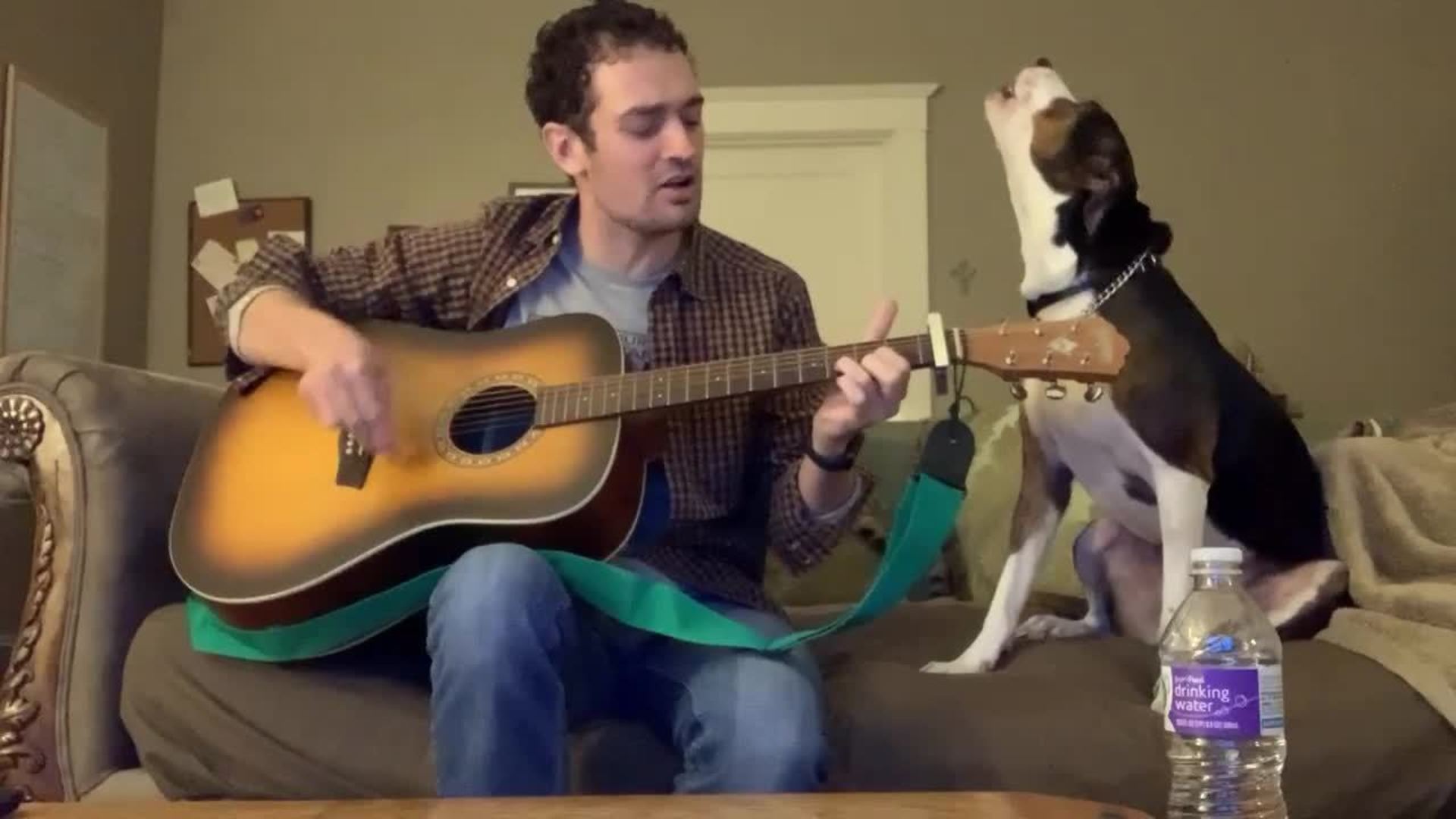 Dog Sings While Pet Parent Plays Guitar | Jukin Licensing