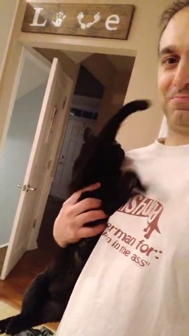Irritated Cat Attacks Owner For Making Them Wear Hat | Jukin Licensing