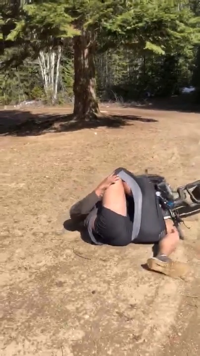 Guy's Pants Come off While Trying to Climb Down Tree | Jukin Media Inc