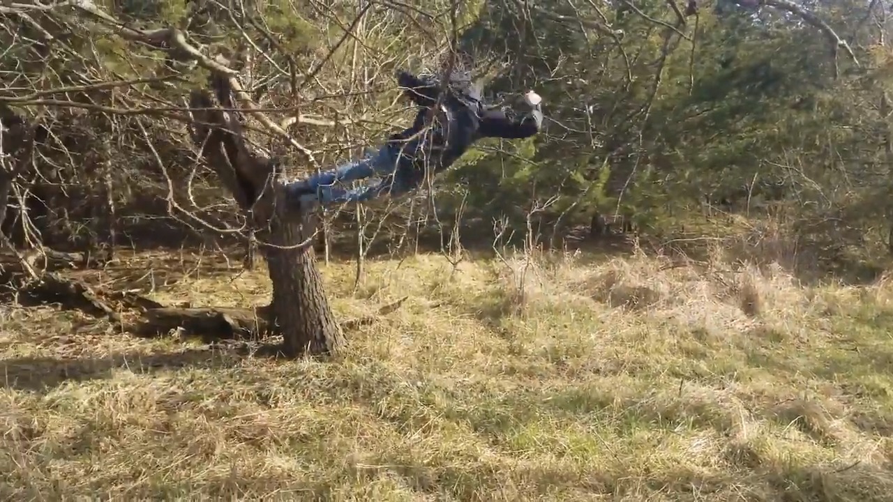 Guy Struggles to Take Out Tree Stump By Kicking It | Jukin Licensing