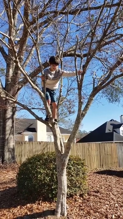 Little Boy Carefully Grips onto Branches to Climb Tree | Jukin Licensing