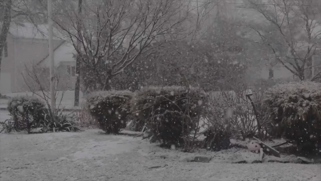 Heavy Snowfall Covers Trees And Plants Outside House in Snow | Jukin ...