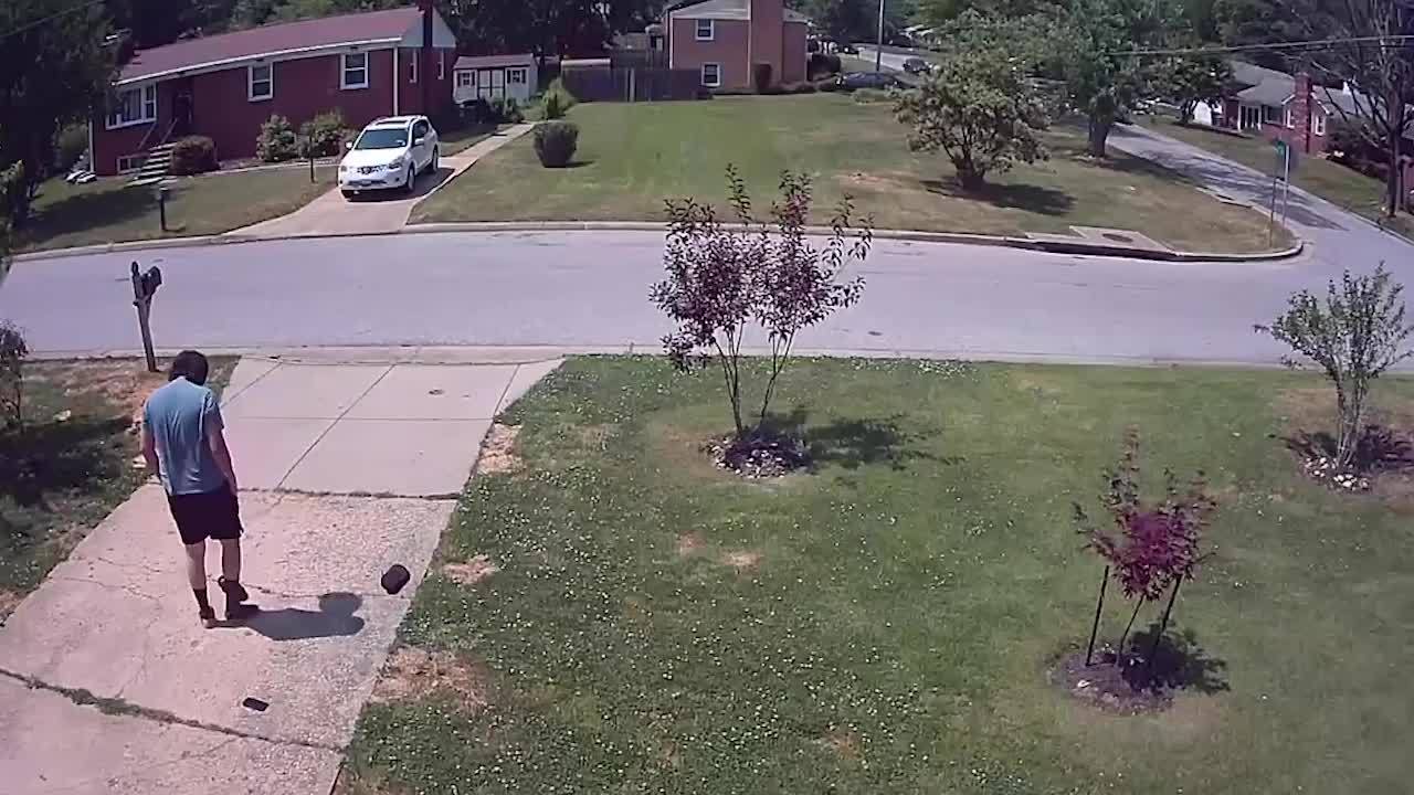 Man Gets Hit On the Face By Insect And Falls On Driveway | Jukin Licensing