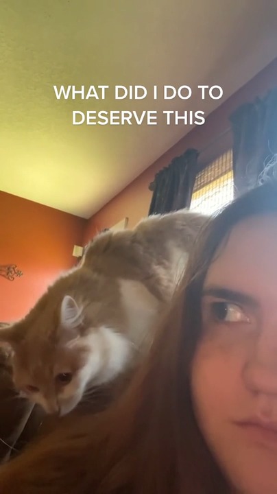 Cat Attacks Owner's Head Without Any Reason | Jukin Licensing