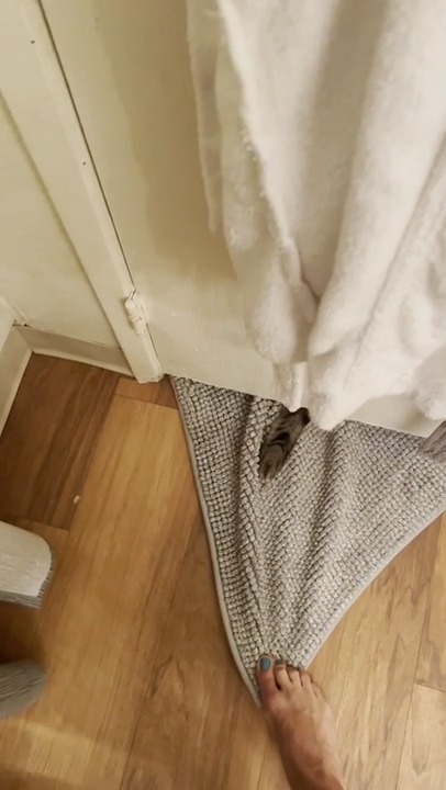 Cat Attempts to Pull Rug From Bathroom Through Space Under Closed Door ...