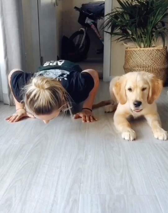 Puppy Performs Push-Ups Along With Owner | Jukin Licensing