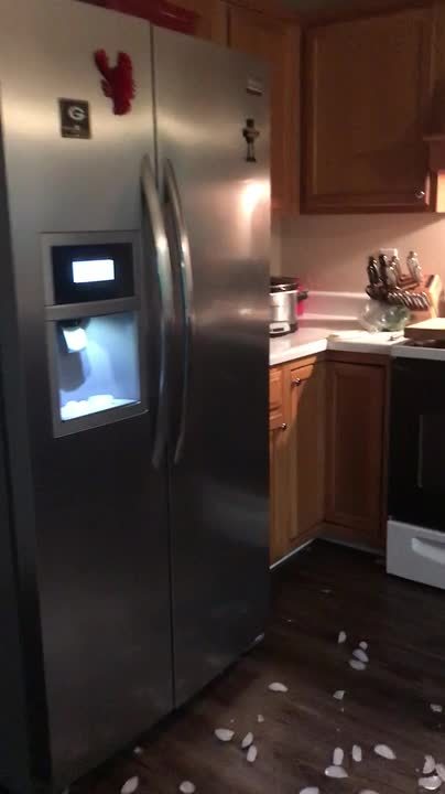 Ice Cubes Keep Falling Out Of Refrigerator And Covers Kitchen Floor ...
