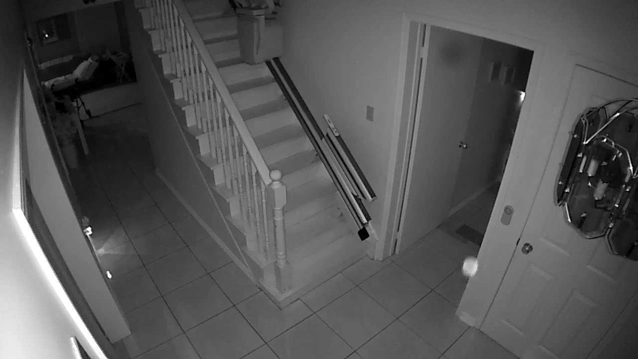Strange Orb Movement in Front of Motion Detector Camera Triggers ...