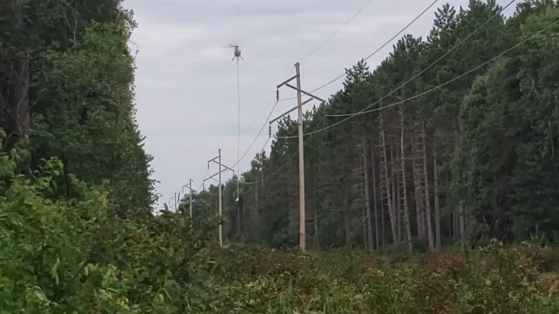 Helicopter Using Chainsaw to Trim Tall Trees | Jukin Licensing