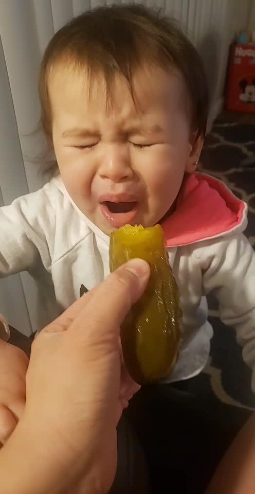 Toddler Makes a Face After Tasting Pickle for The First Time | Jukin ...