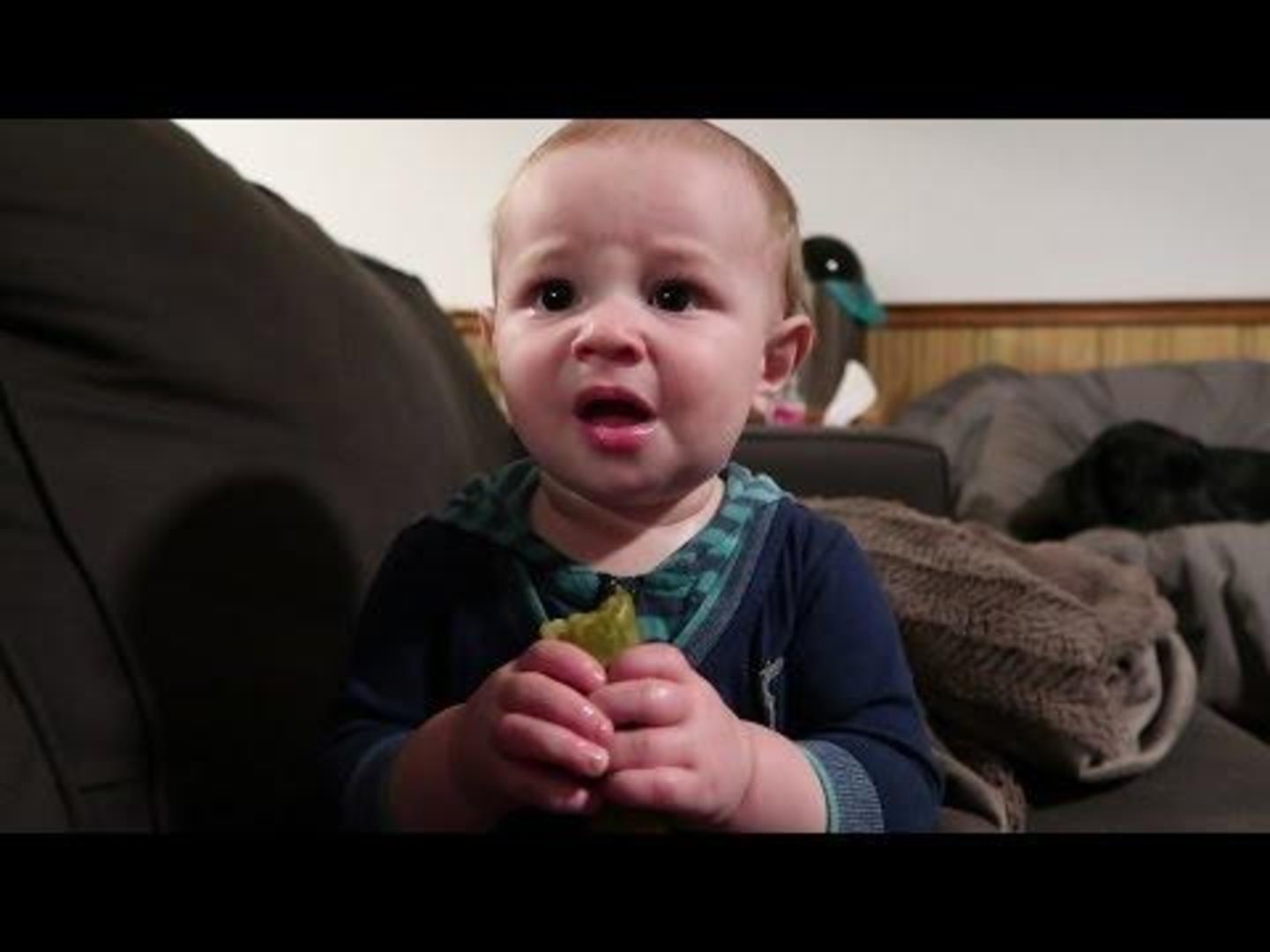 Baby Eats Pickle for the First Time | Jukin Licensing