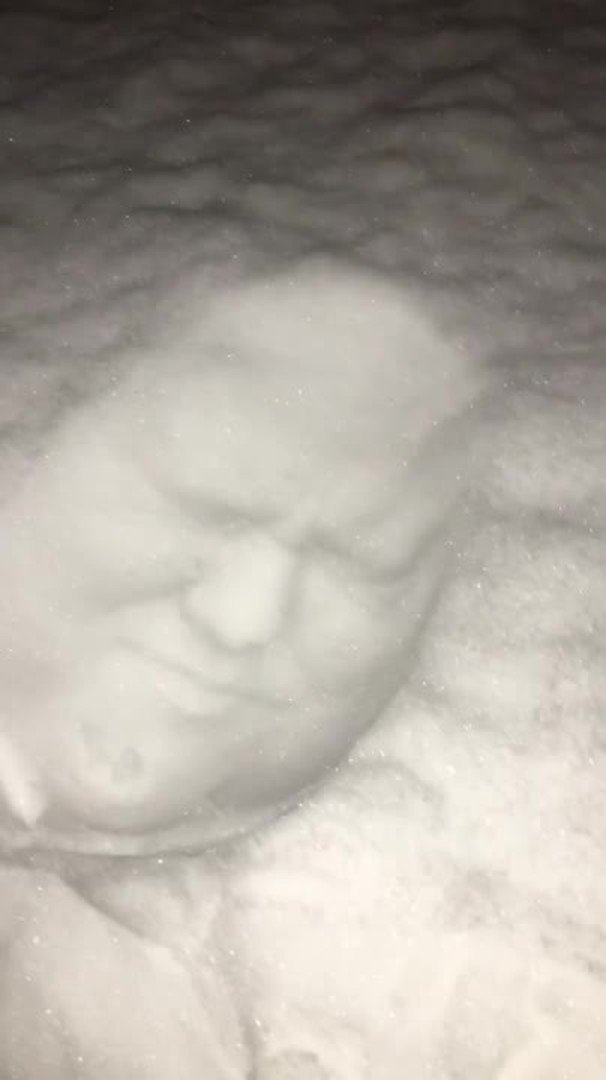 Donald Trump Snow Face | Jukin Licensing