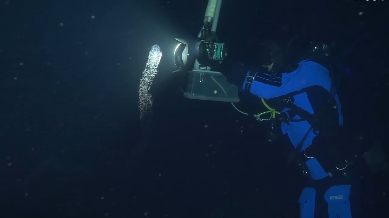 Diver Encounters Giant Siphonophore While Swimming in the Mediterranean ...