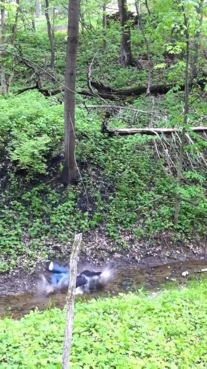 Rotten Rope Breaks as Guy Attempts to Zipline Over it | Jukin Media Inc