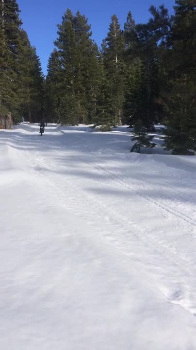 Fat Tire Bike Fail | Jukin Licensing