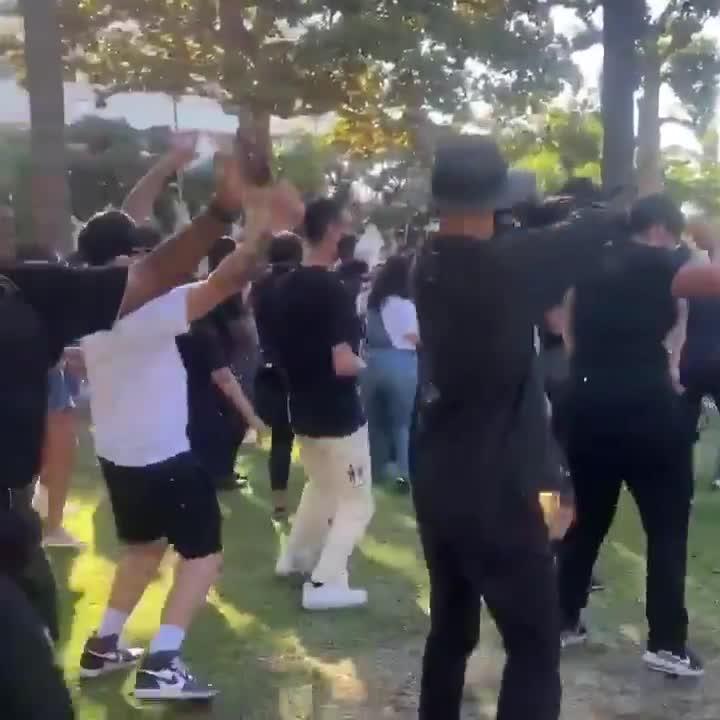 Protestors Dance in Park During Black Lives Matter Protest in Santa Ana ...
