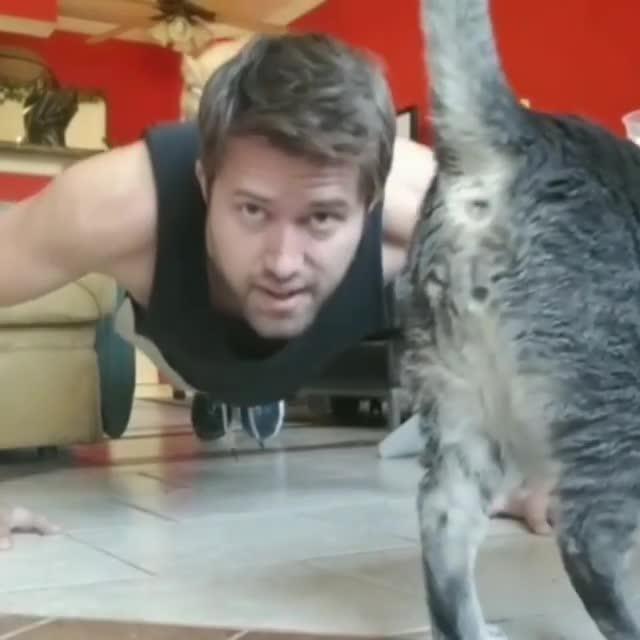 Guy Does Push-Ups While Surrounded by Cats | Jukin Licensing