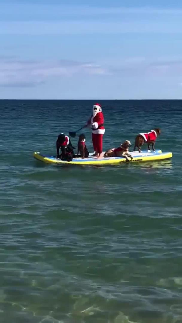 Santa Paddle Boards with Dogs | Jukin Licensing