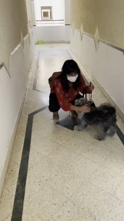 Ecstatic Dog Runs Around in Excitement on Seeing Loved One After ...