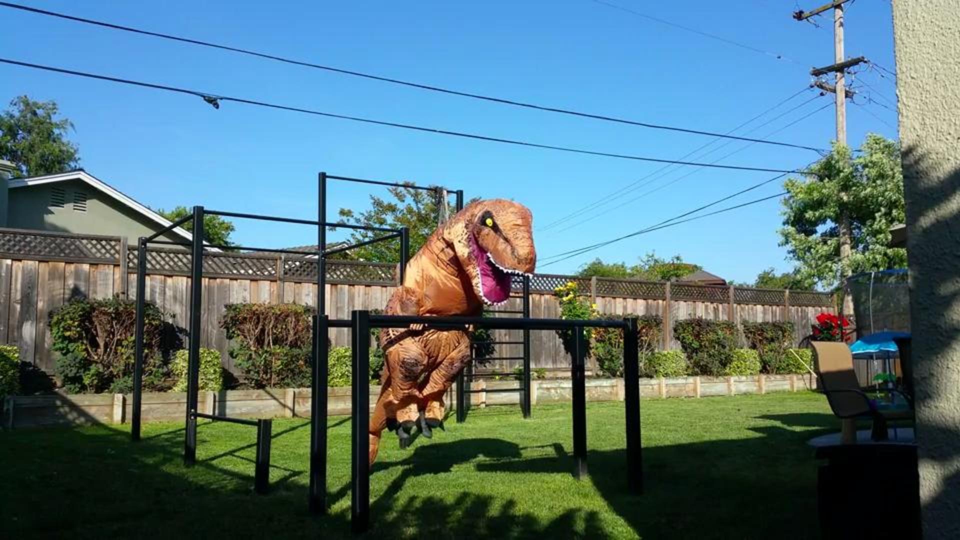 Dinosaur Swings on Bar | Jukin Licensing