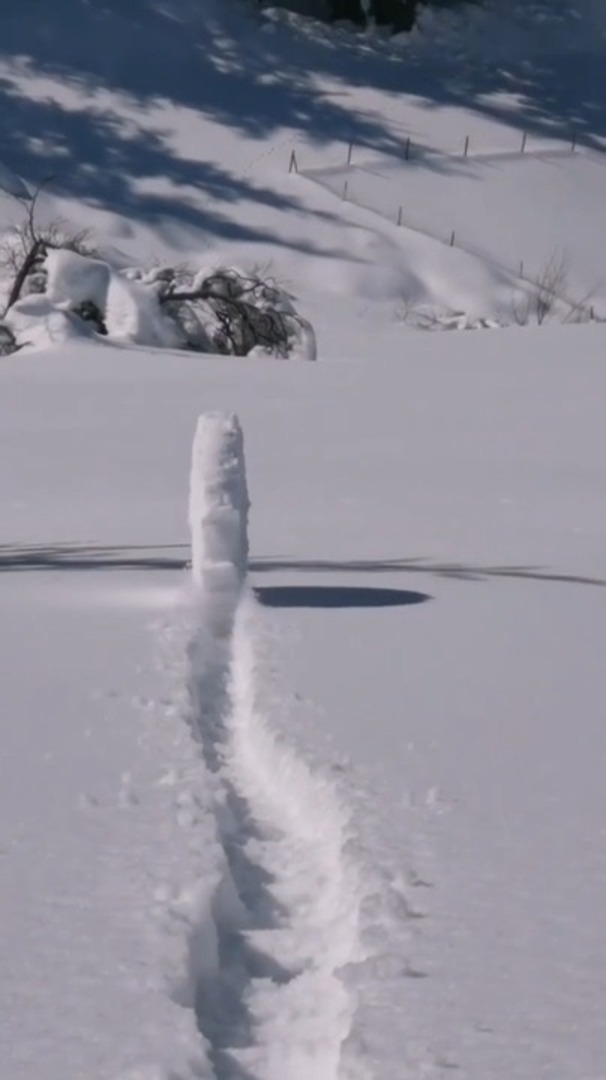 Snowball Rolling Downhill Forms a Giant Wheel | Jukin Licensing