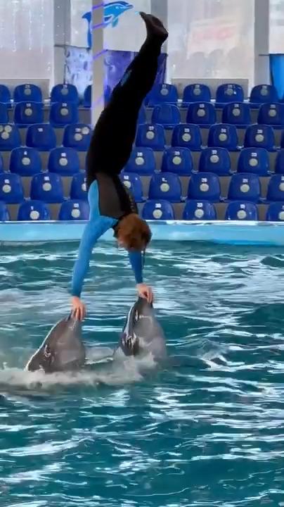 Guy Does Handstand on Dolphin's Head as They Swim Around in Pool ...