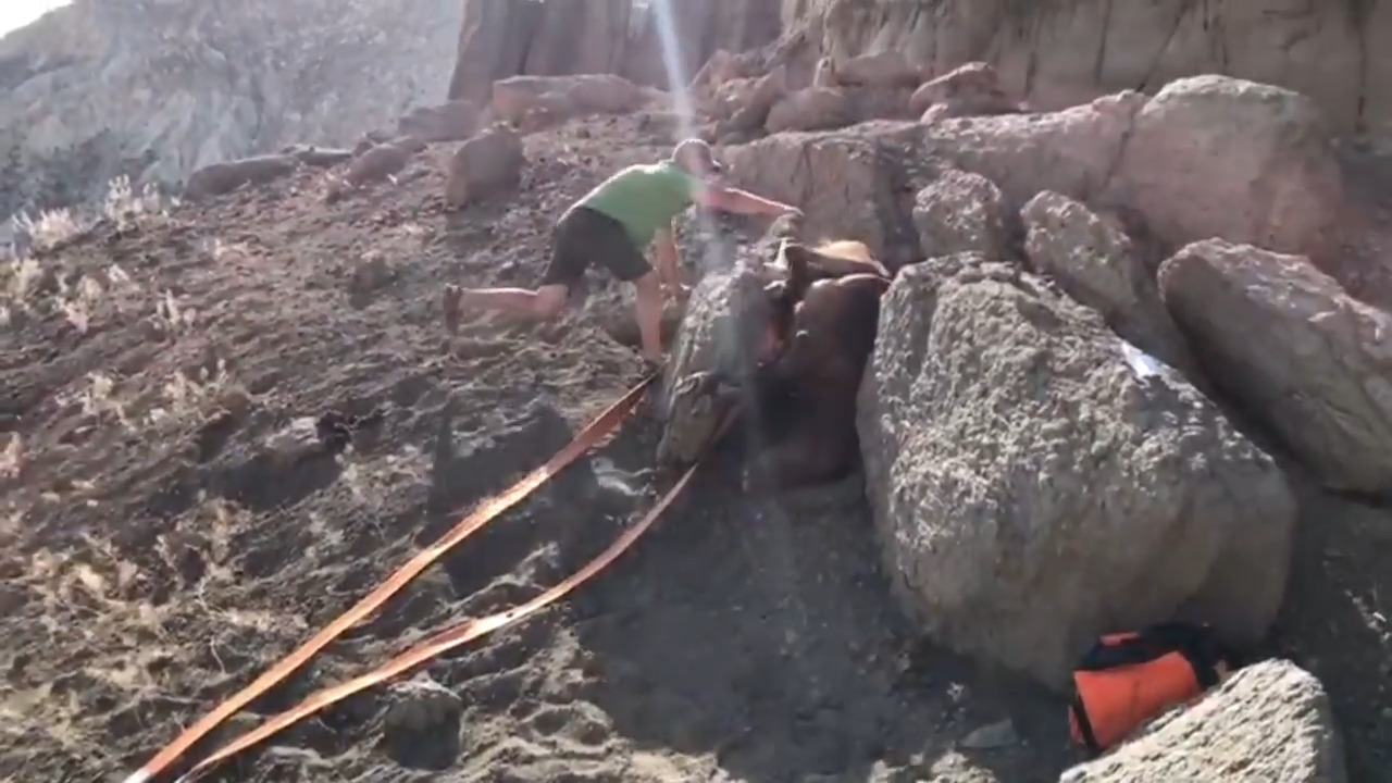 Rescuing Horse Stuck Between Rocks | Jukin Licensing