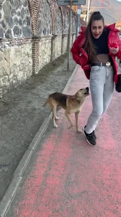 Dog Bites Girl on Butt | Jukin Licensing