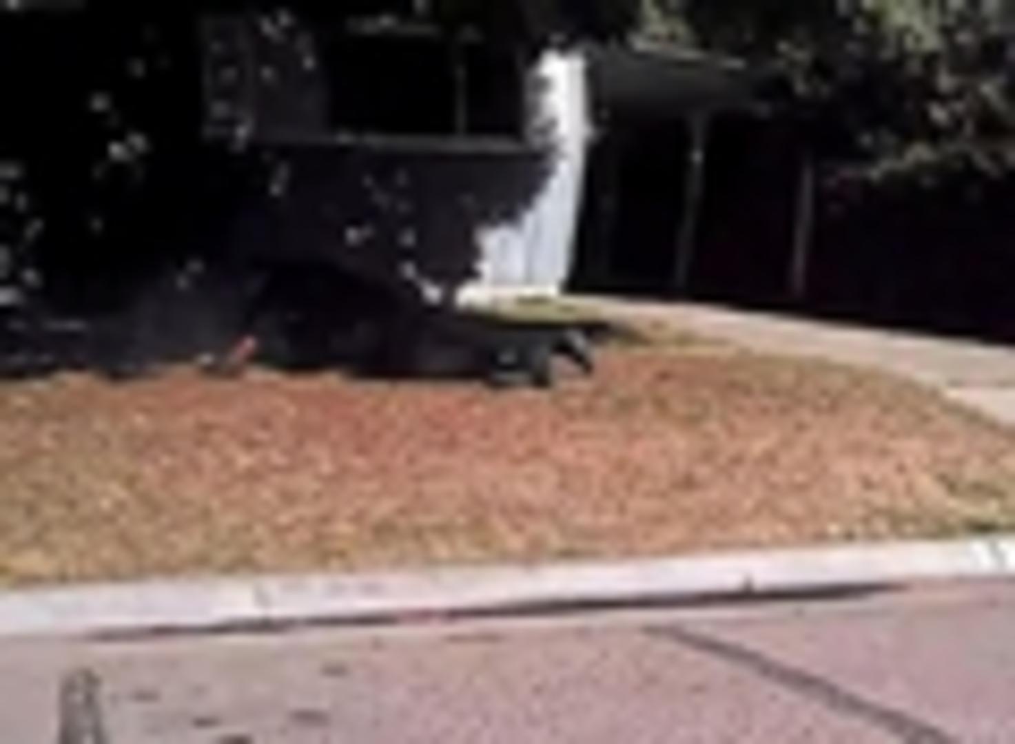 Clumsy Police Officer Chases Clumsy Suspect | Jukin Licensing