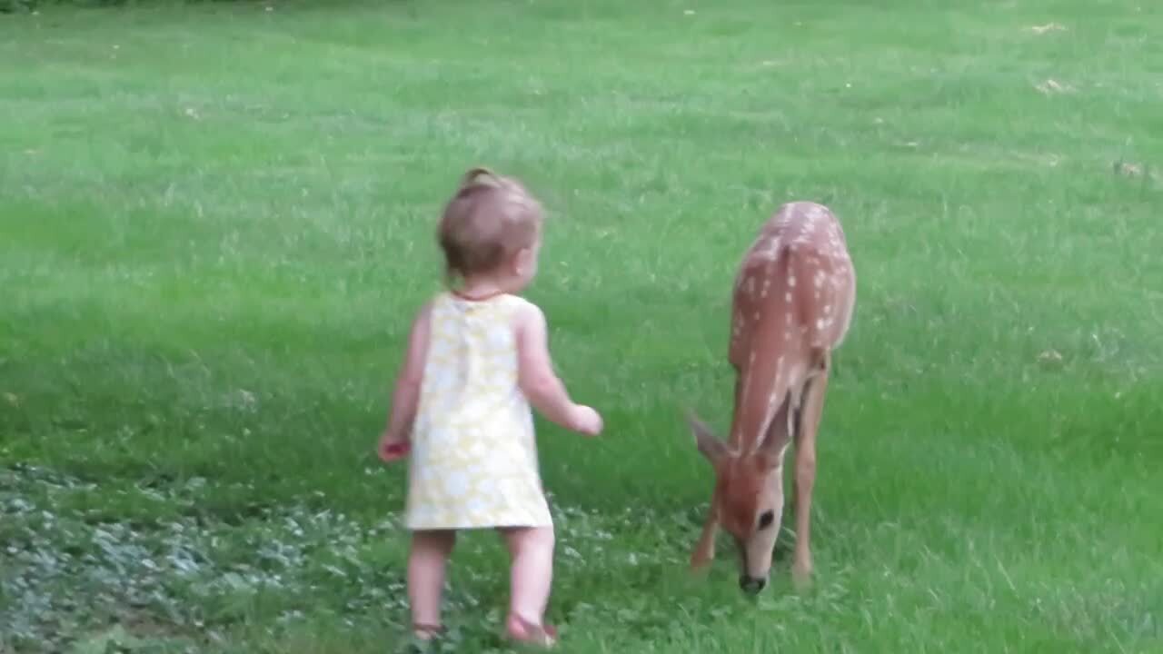 Baby Girl Meets Baby Deer | Jukin Licensing