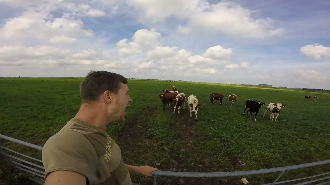 Burping Cow Whisperer | Jukin Licensing