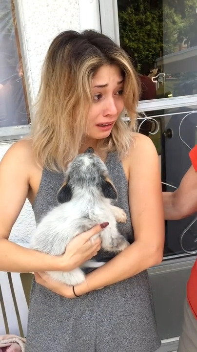 Puppy Makes Girl Cry With Happiness | Jukin Licensing