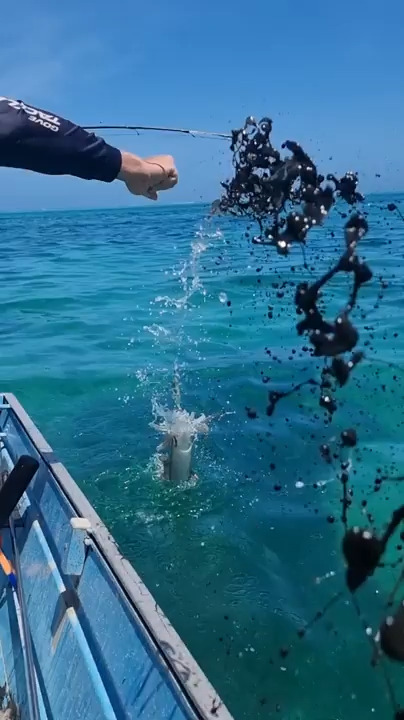 Huge Squid Sprays Ink on Mother and Daughter on Fishing Trip | Jukin ...