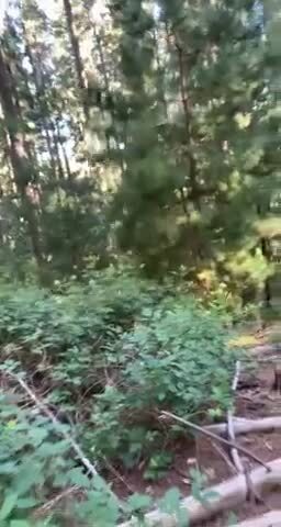 Guy Hanging From Tree Falls Down as Branch Snaps | Jukin Licensing