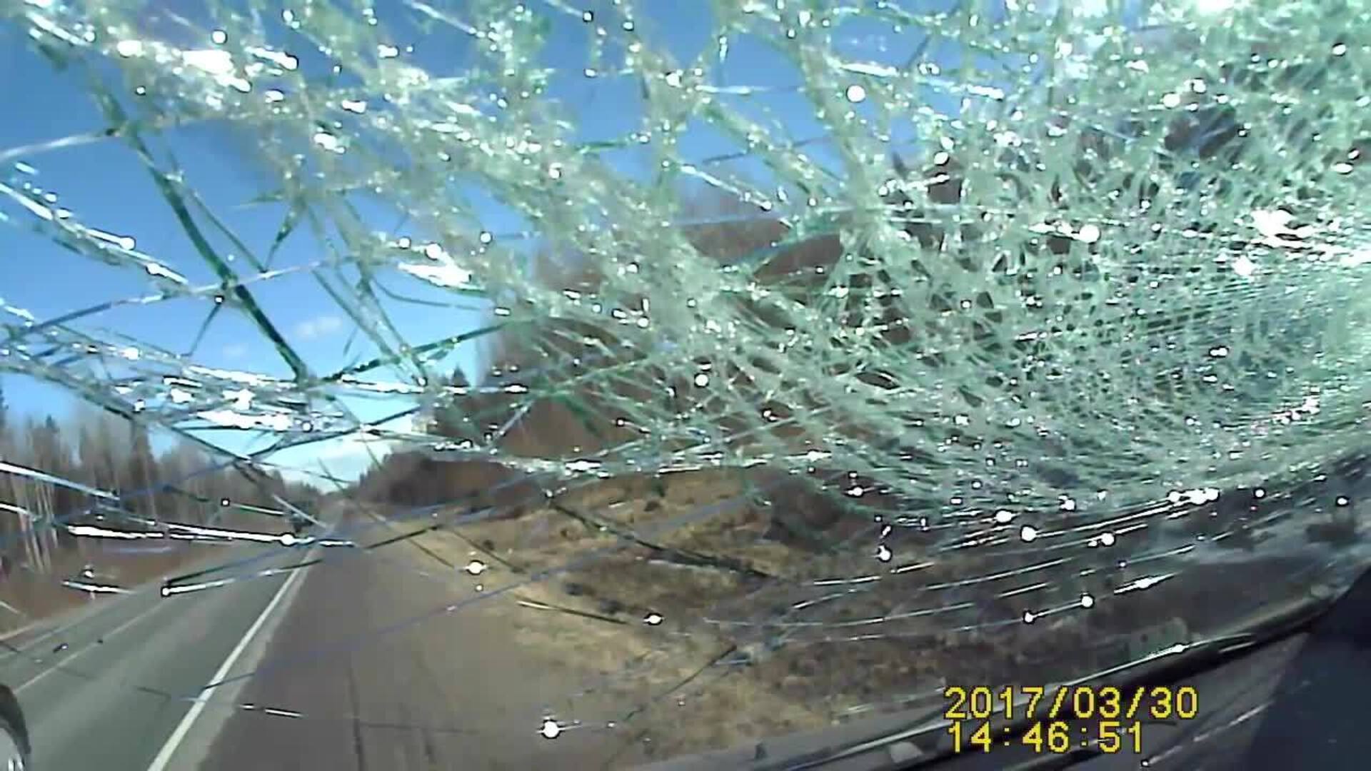 Windshield Shattered while Driving | Jukin Licensing