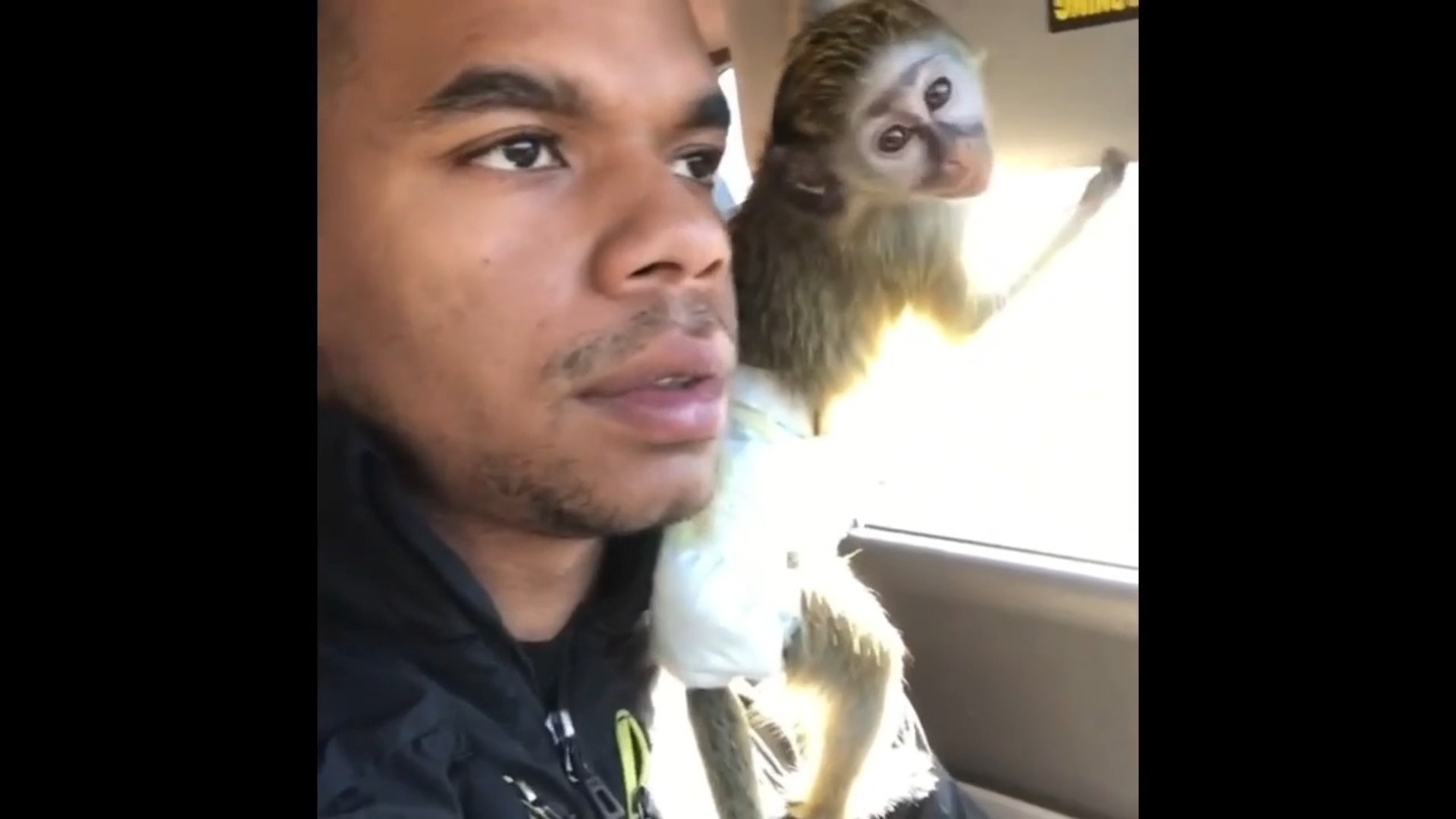 Man and Pet Monkey Have a Fun Day Out | Jukin Licensing