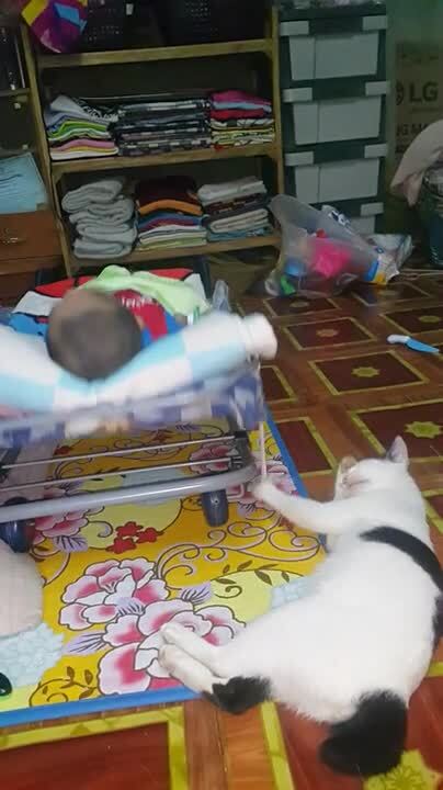 Cat Has Perfected Multitasking | Jukin Licensing